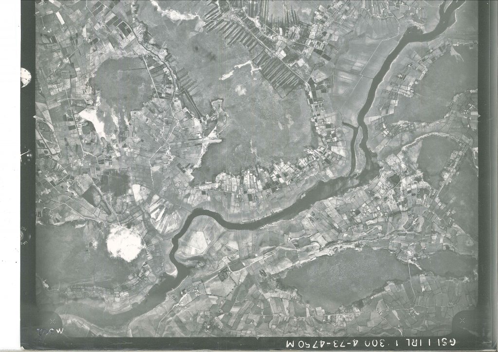 About Mongan Bog - The Living Bog