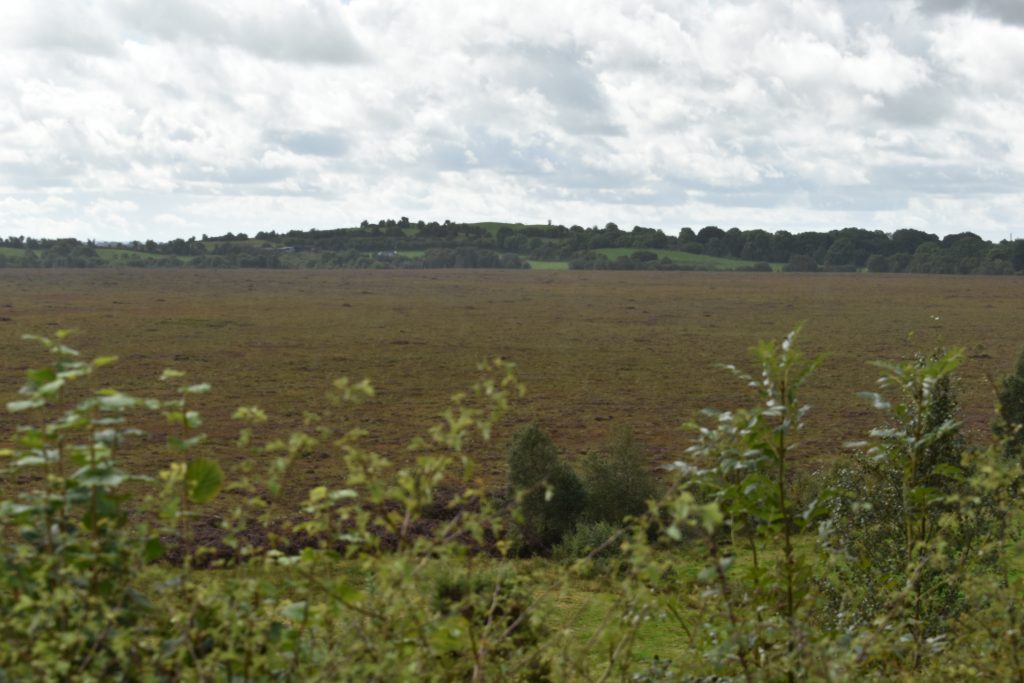 History of Mongan Bog - The Living Bog